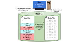 Transaction Log - Sql Server Backup Academy