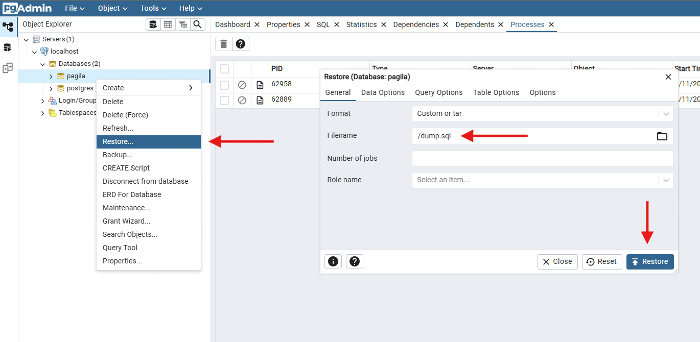 pg_admin_restore - SqlBak Blog